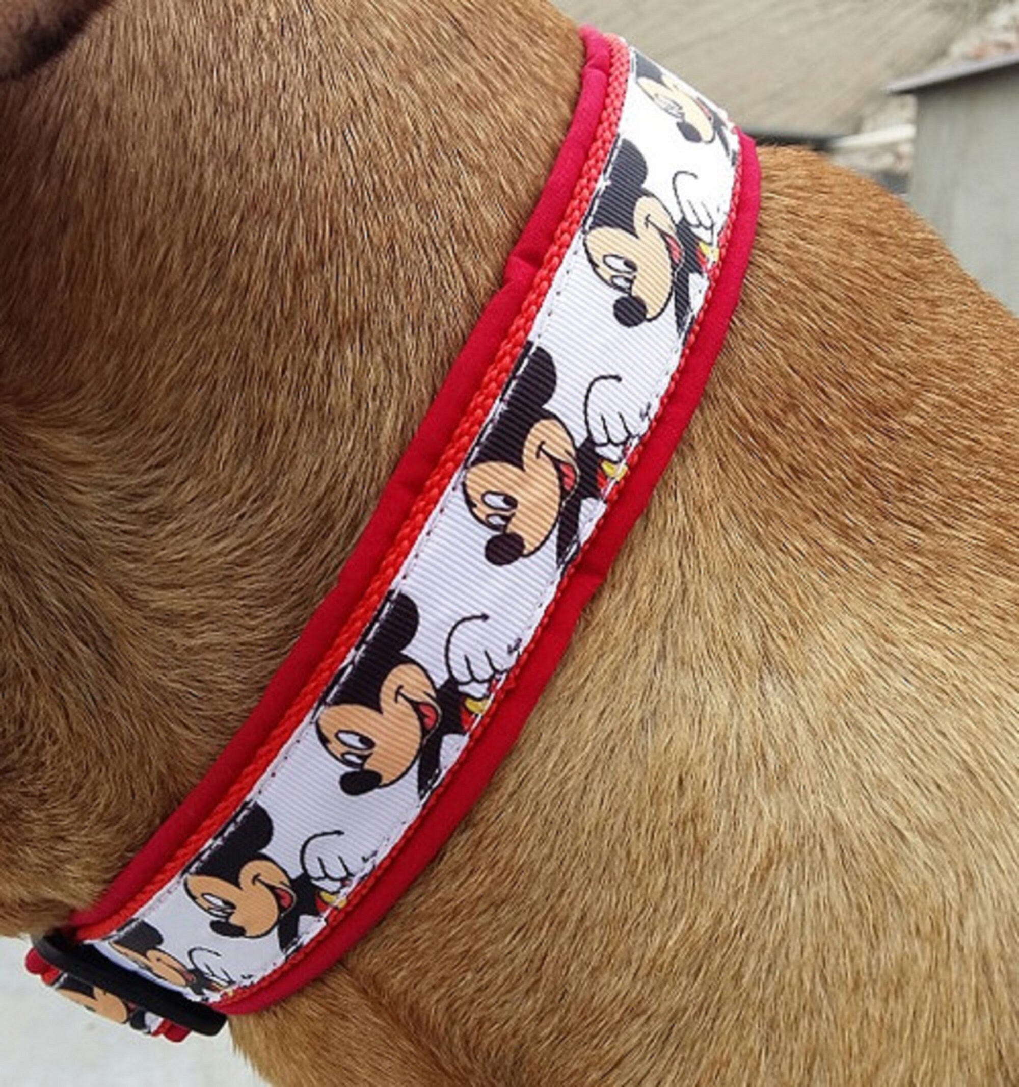 Dog Collar Mickey Mousedog Collar Mickey or Matching Lead - Etsy