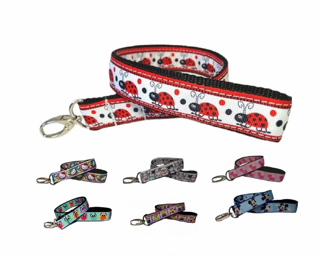 Lanyard for Keys, Neck Lanyard, Keychain Holder for Children Men and ...