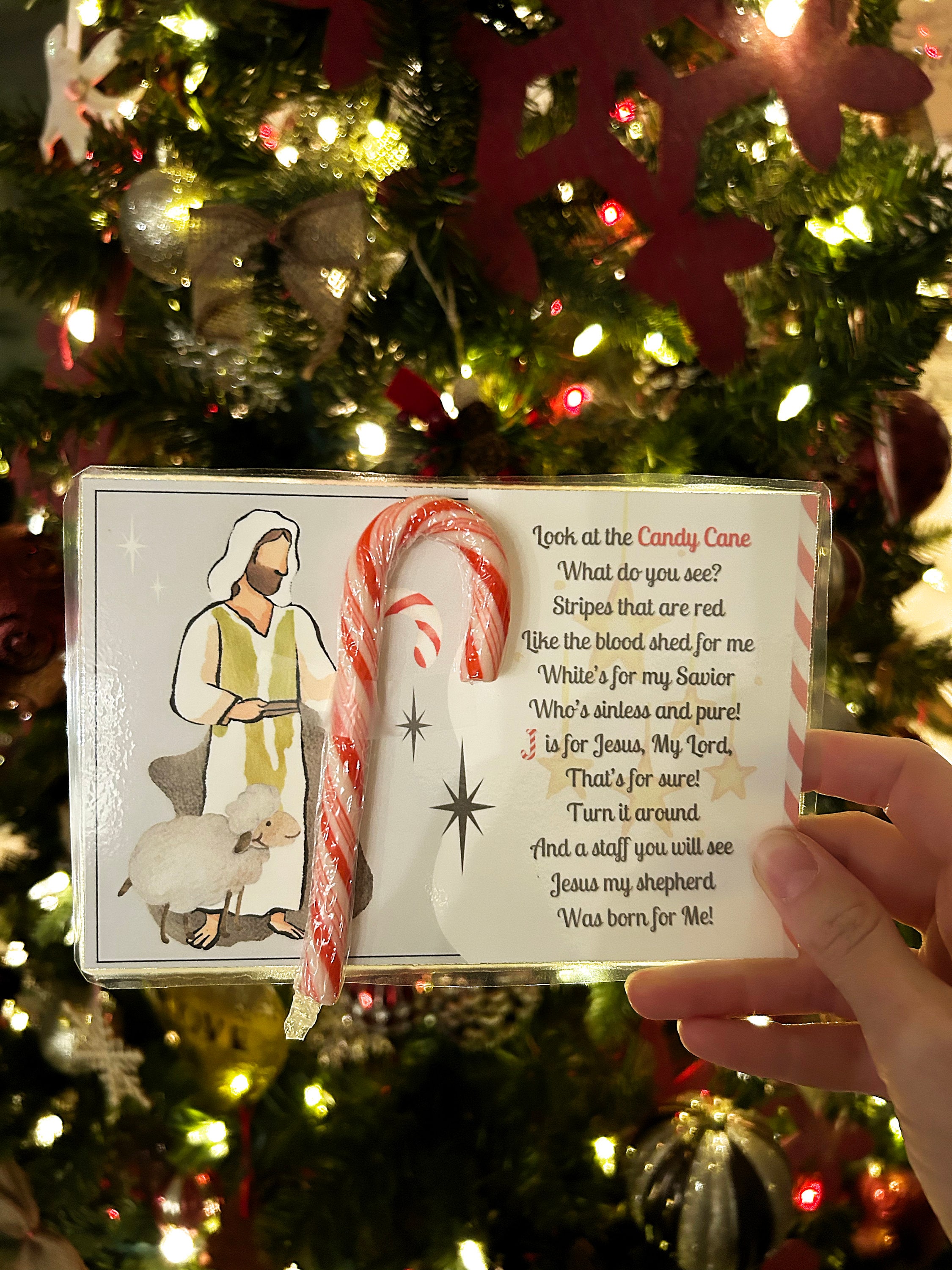Candy Cane Legend Printable Jesus Shepherd Candycane Christmas Primary ...