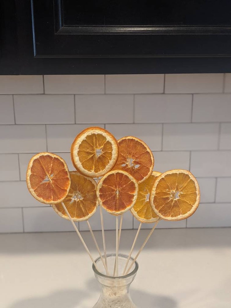 Dried Citrus Fruit Accents - Etsy