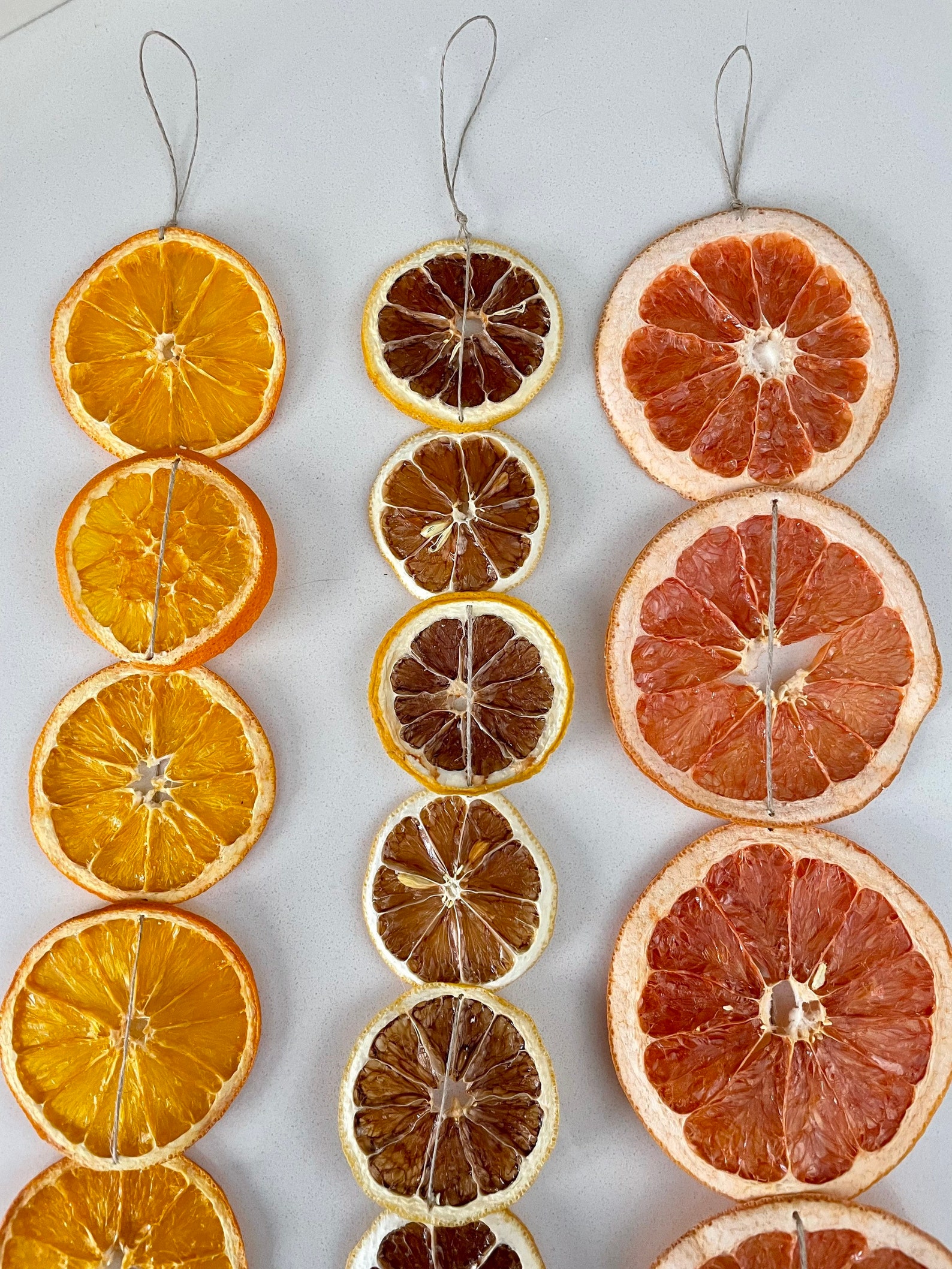 Dried Citrus Garland - Etsy