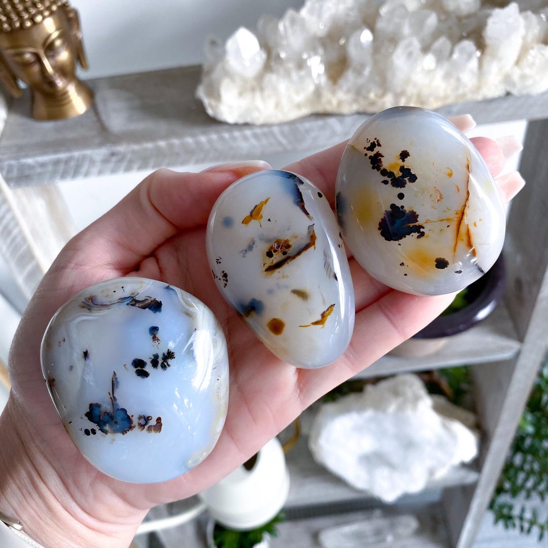 Dendritic Agate "plentitude" Palm Stone - You Choose - Etsy