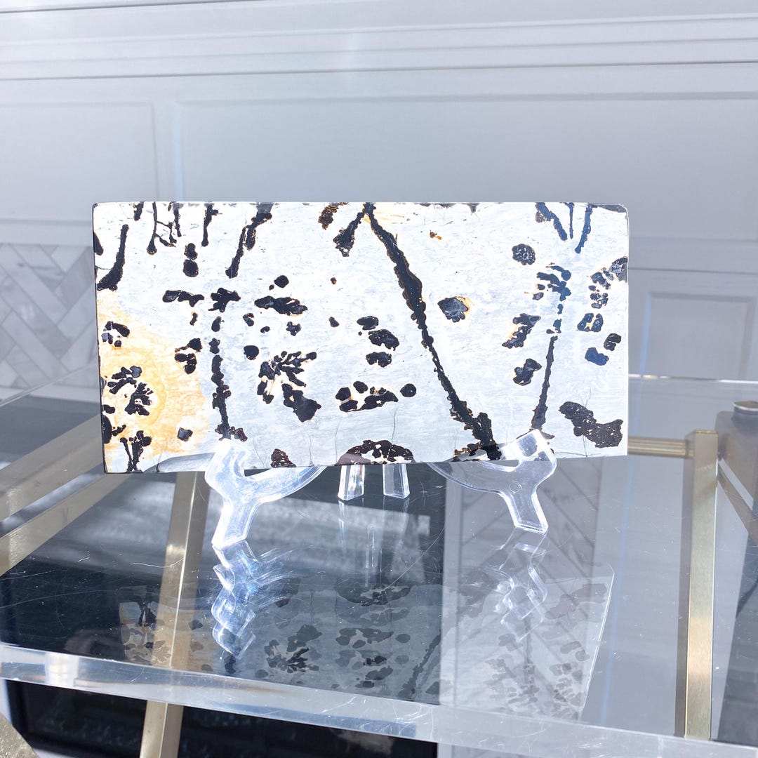 Cheetah Picture Jasper Slab on Stand - Etsy