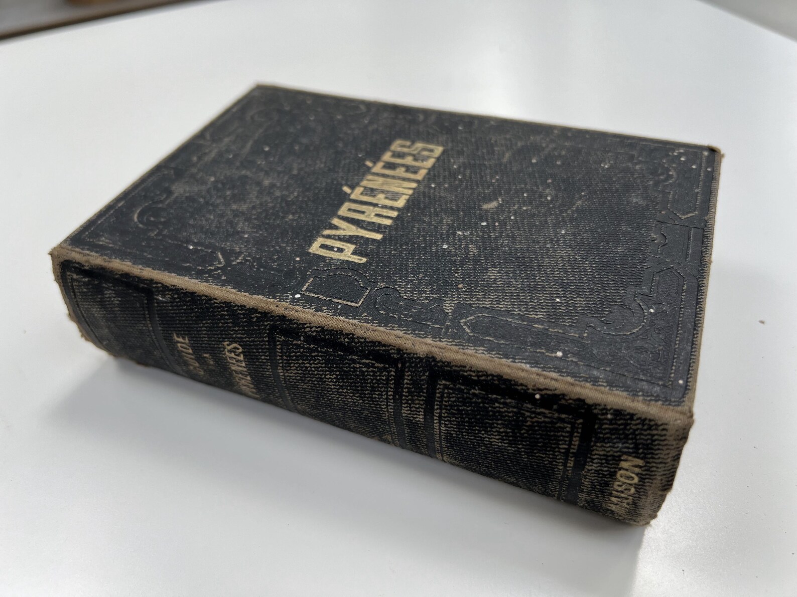 Rare Antique French Book, Entitled Guide Aux Pyrenees Full of Maps ...
