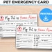Pet Emergency Card Printable, in Case of Emergency, Contact Card, Small ...