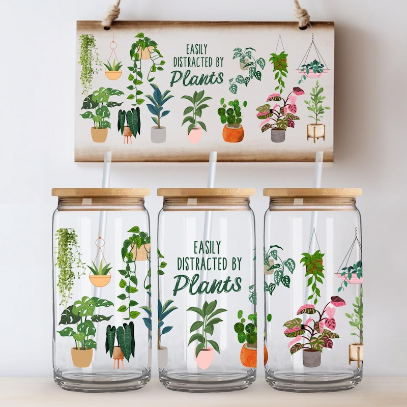 Glass Jar for Plants in Water - Etsy