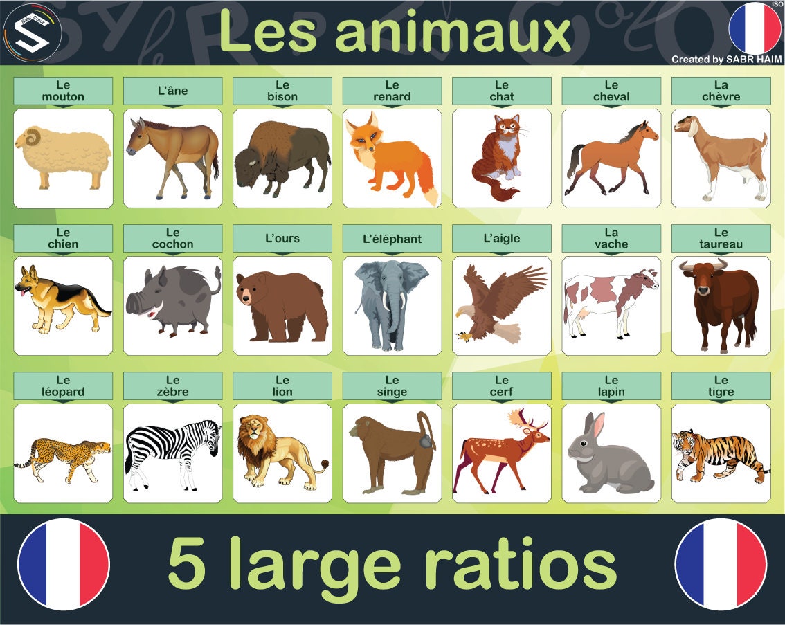I Love Animals In French