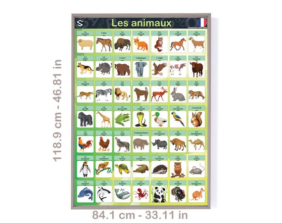 Largest Animals Chart