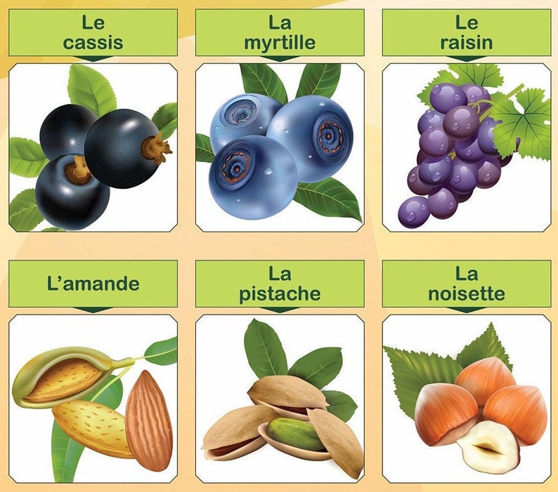 Les Fruits / French Fruits Poster / Teachers Materials / - Etsy