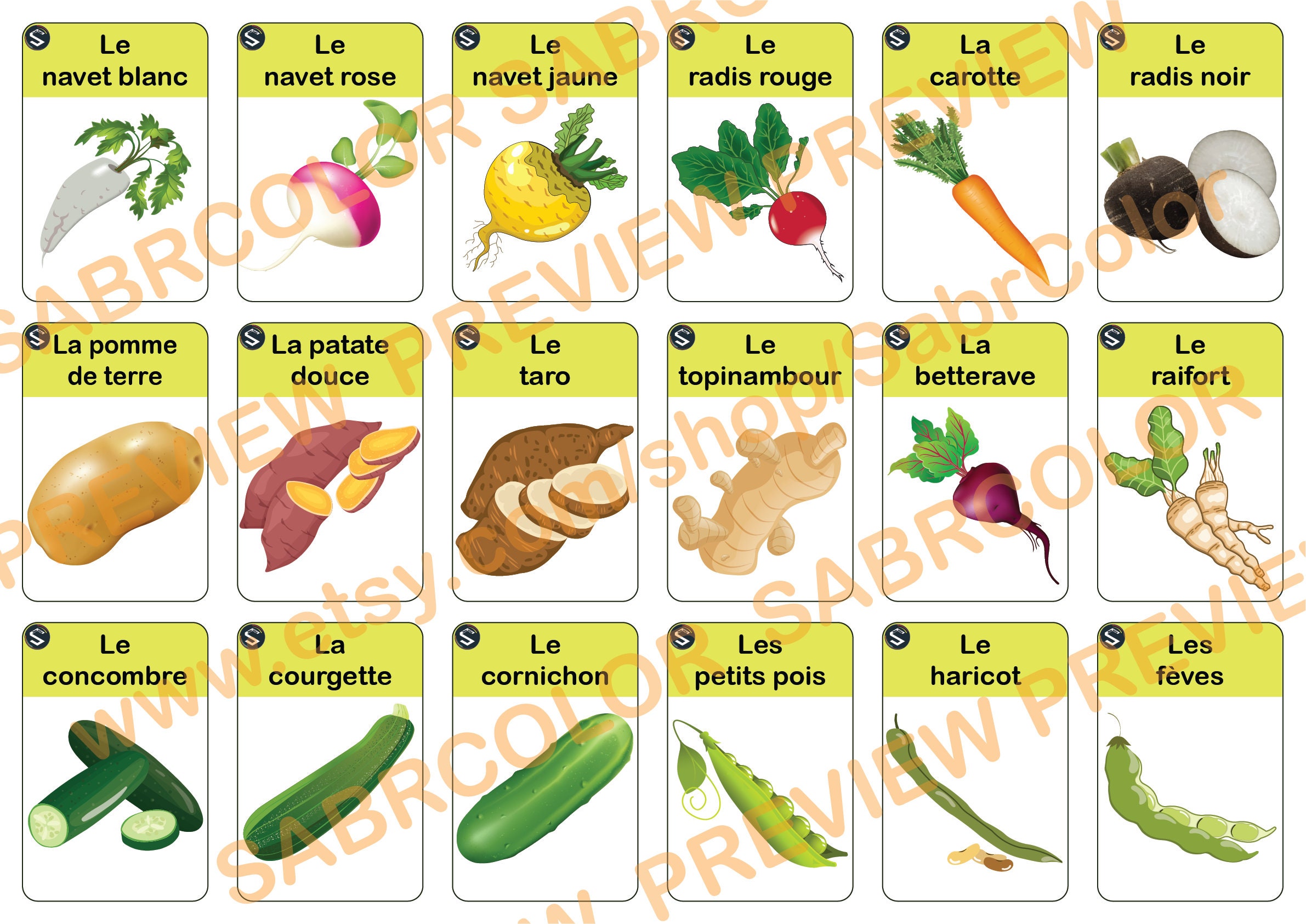 FRENCH Vegetables and Plants Vocabulary List Printable - Etsy