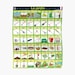 French Garden Vocabulary Poster: Homeschool Classroom Decor (digital ...