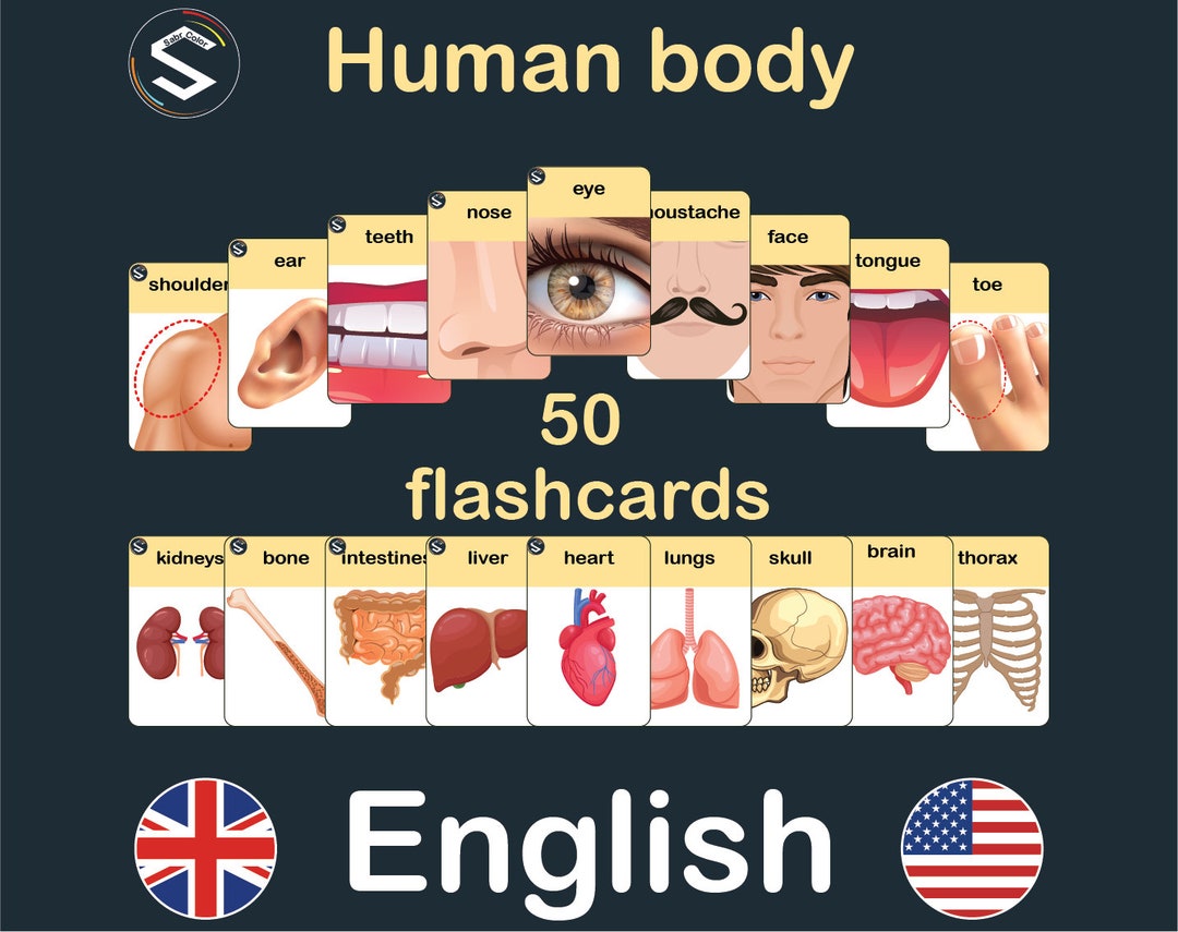 ENGLISH Human Body Vocabulary Printable Flashcards | Body Parts Lexicon ...