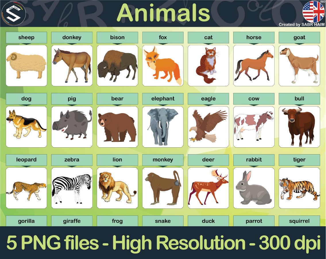 ENGLISH Animals Vocabulary Printable LARGE Wall Poster for Preschools ...