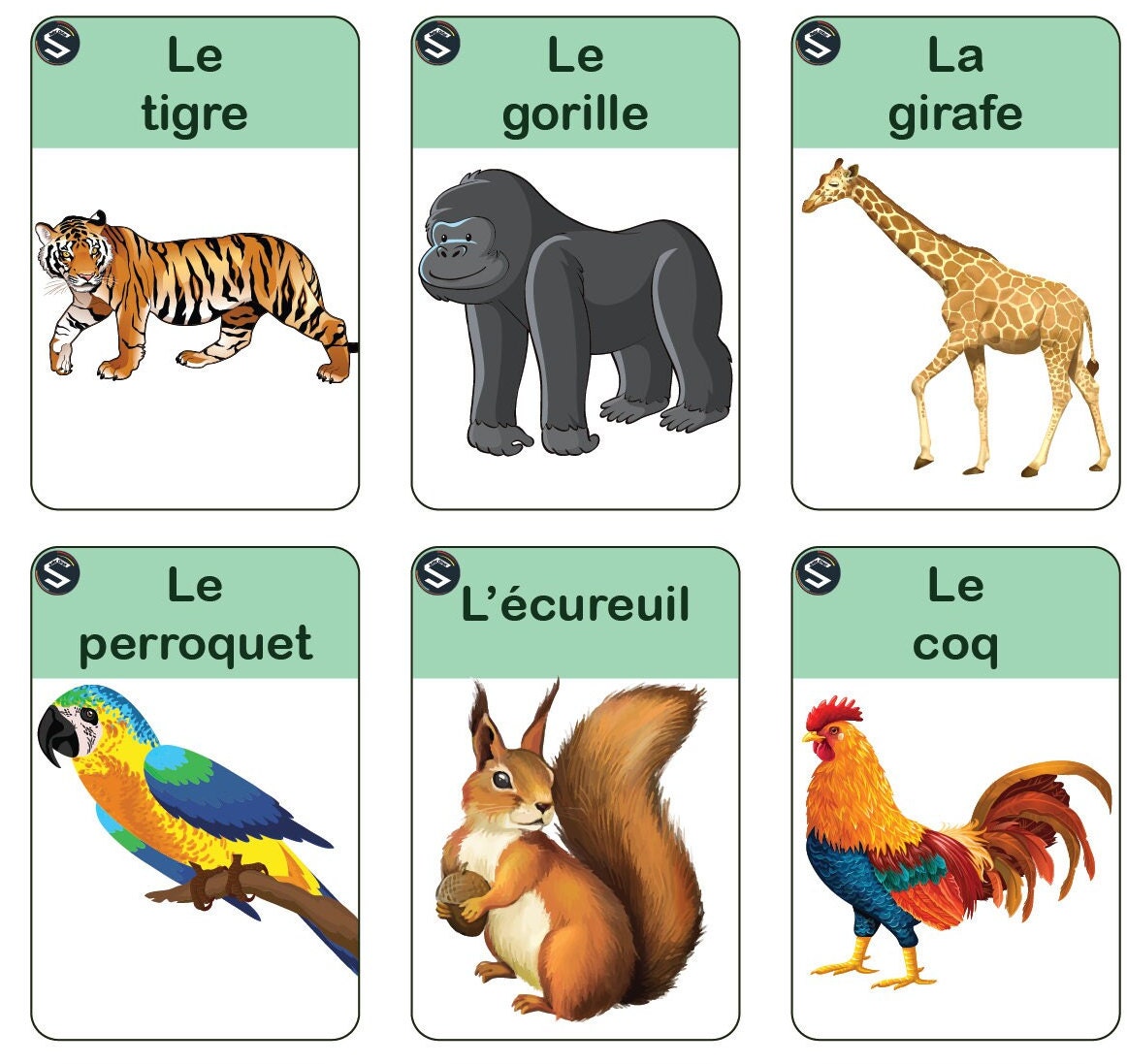 French Animals and Zoology Vocabulary Flashcards Cartes De - Etsy UK