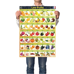 French Fruits Poster: Les Fruits, Classroom Homeschool Art (digital ...