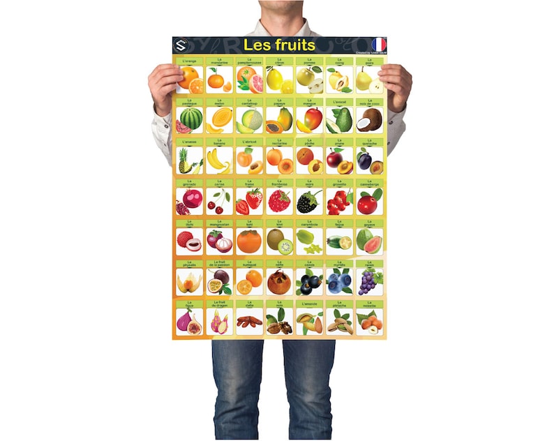 French Fruits Poster: Les Fruits, Classroom Homeschool Art (digital ...