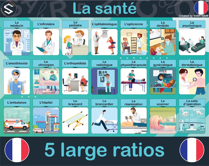 French Health Vocabulary Large Printable Poster for French Classes ...