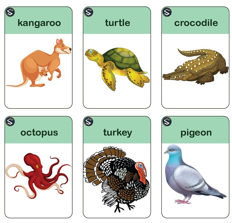 English Animals Vocabulary Printable Flashcards for Nursery - Etsy