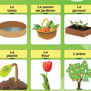 French Garden Vocabulary Poster: Homeschool Classroom Decor (digital ...