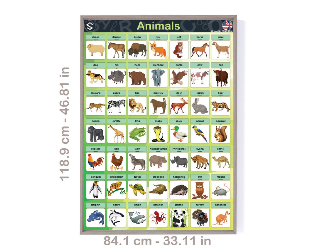 ENGLISH Animals Vocabulary Printable LARGE Wall Poster for Preschools ...