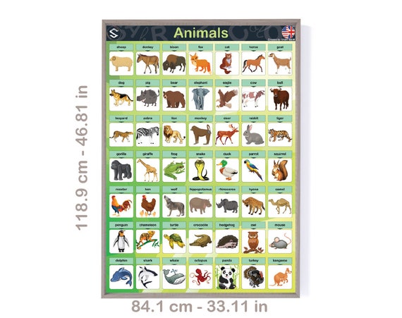 Animals In English English Study Here Gender Of Animals English