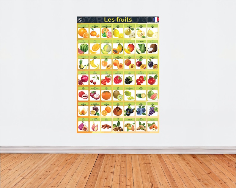 French Fruits Poster: Les Fruits, Classroom Homeschool Art (digital ...