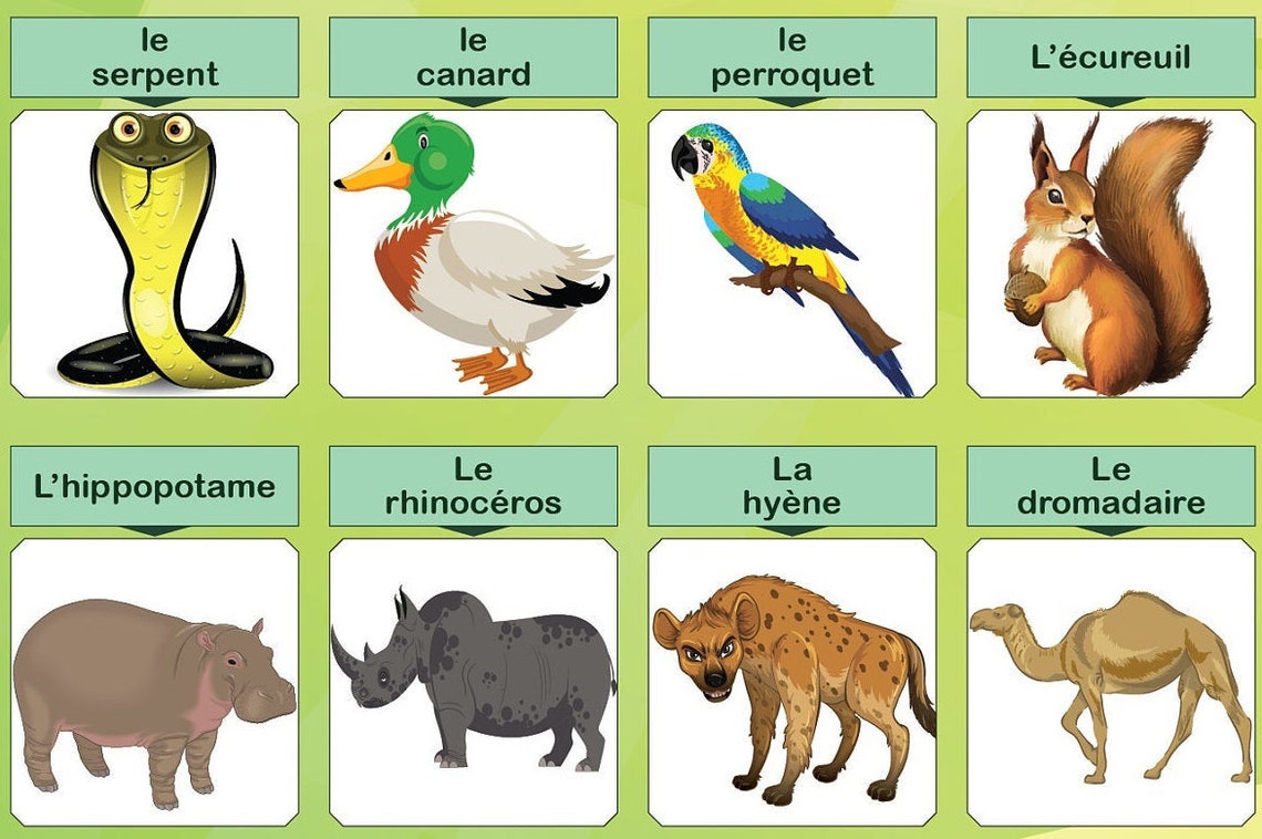 Les Animaux French Animals Large Printable Posters for - Etsy