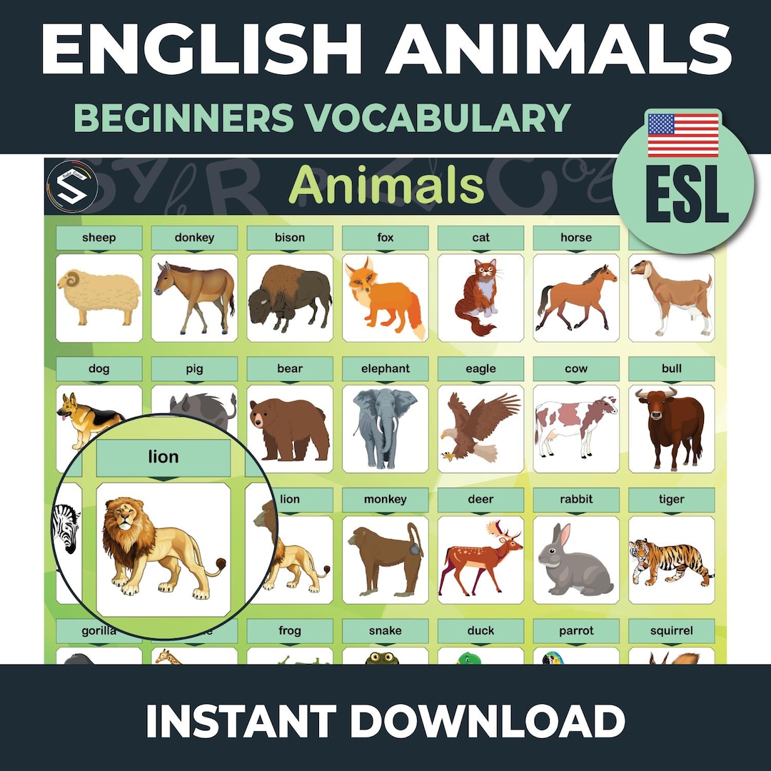 English Animals Poster | ESL Vocabulary Chart | Beginner English ...