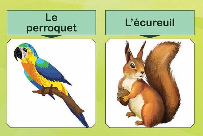 Les Animaux French Animals Large Printable Posters for - Etsy