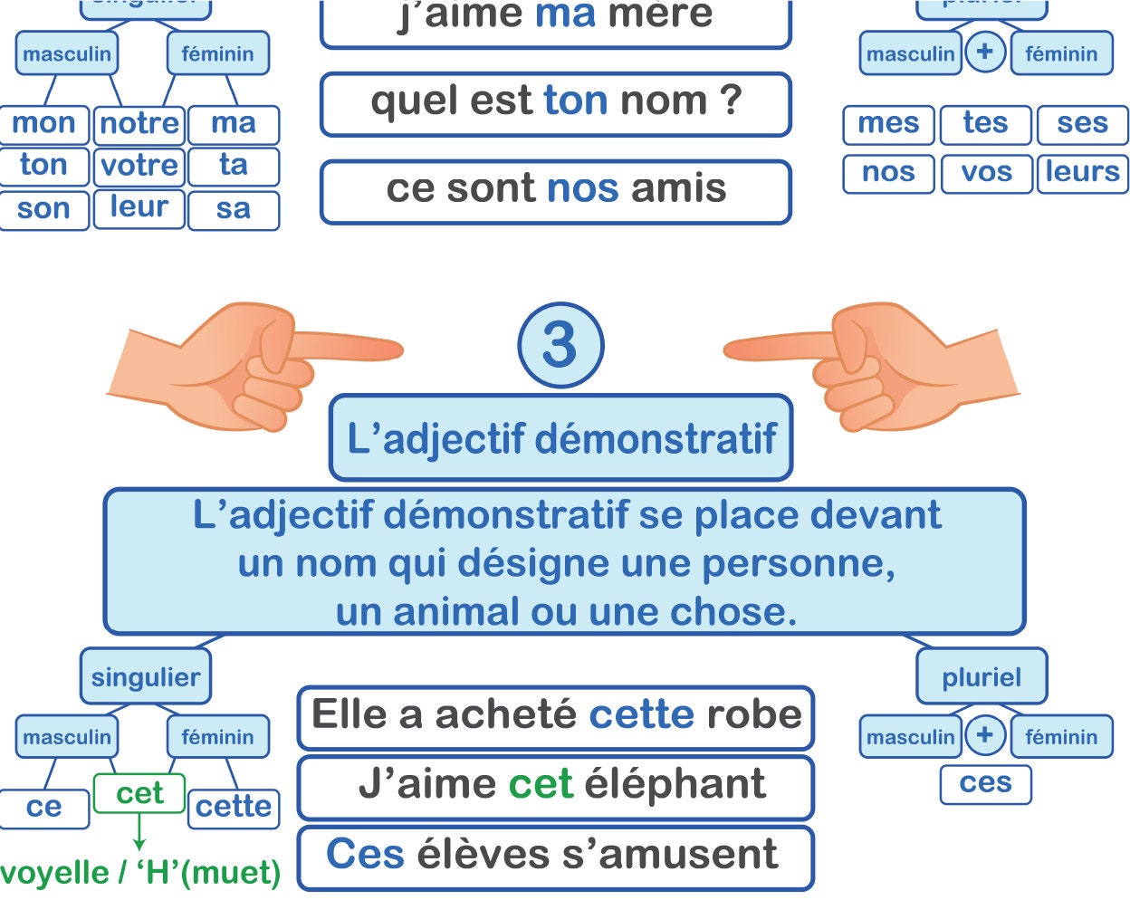 French Grammar Poster: Parts of Speech, Homeschool Printable (digital ...