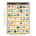 ENGLISH Months Train / the Months of the Year / Nursery Months Poster ...