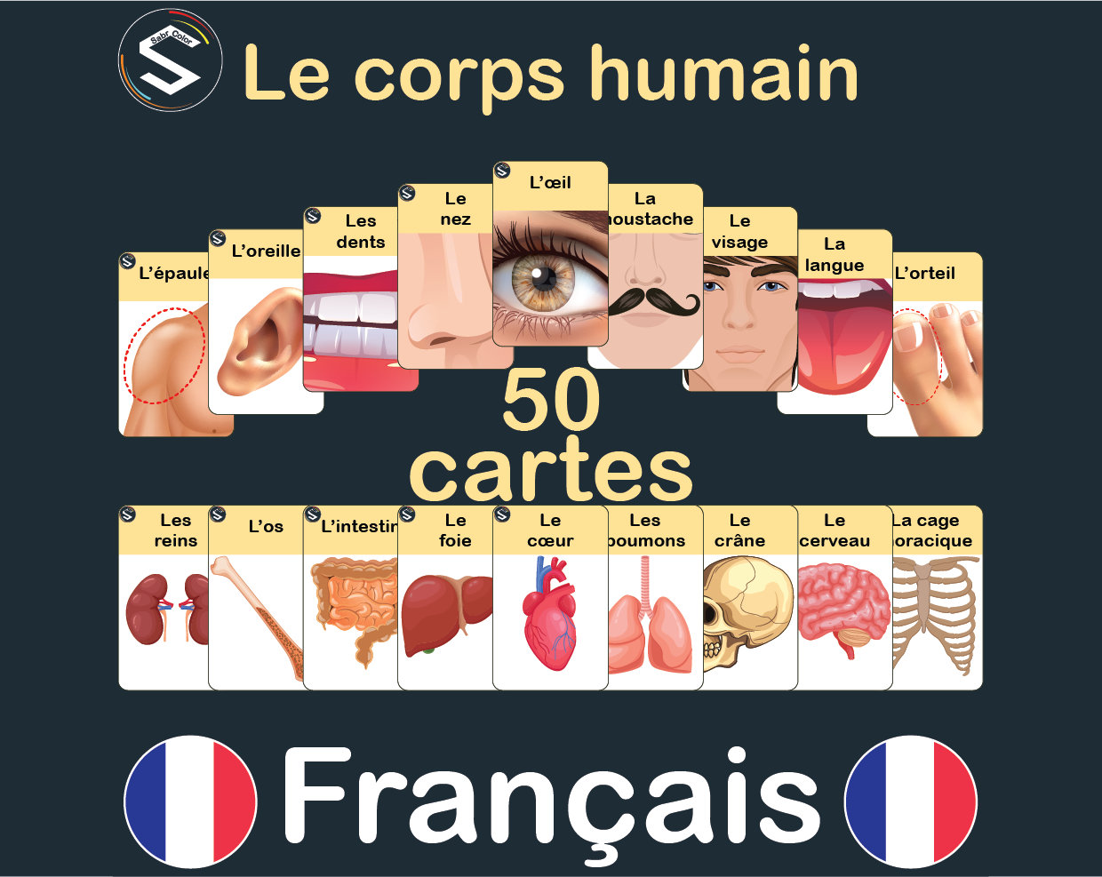 FRENCH Human Body and Anatomy Vocabulary Montessori Flashcards | Le ...