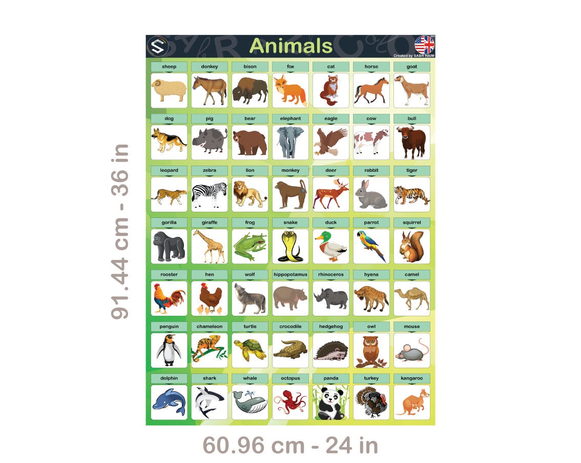 English Animals Vocabulary Poster: Classroom Nursery Decor - Etsy