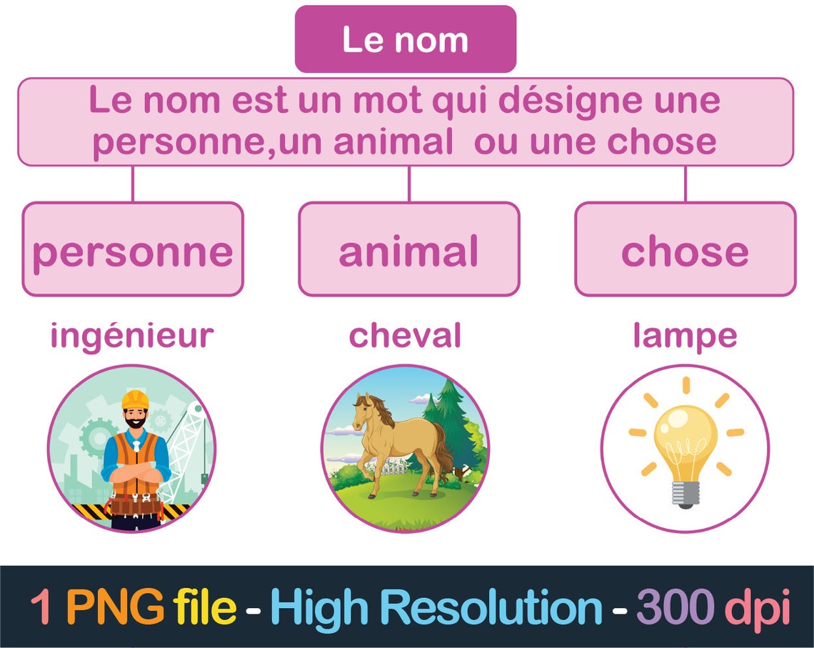French Grammar Poster: Parts of Speech, Homeschool Printable (digital ...