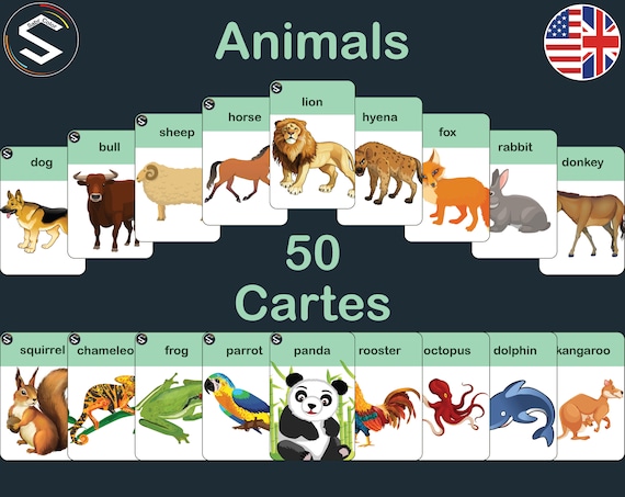 English Vocabulary Animals