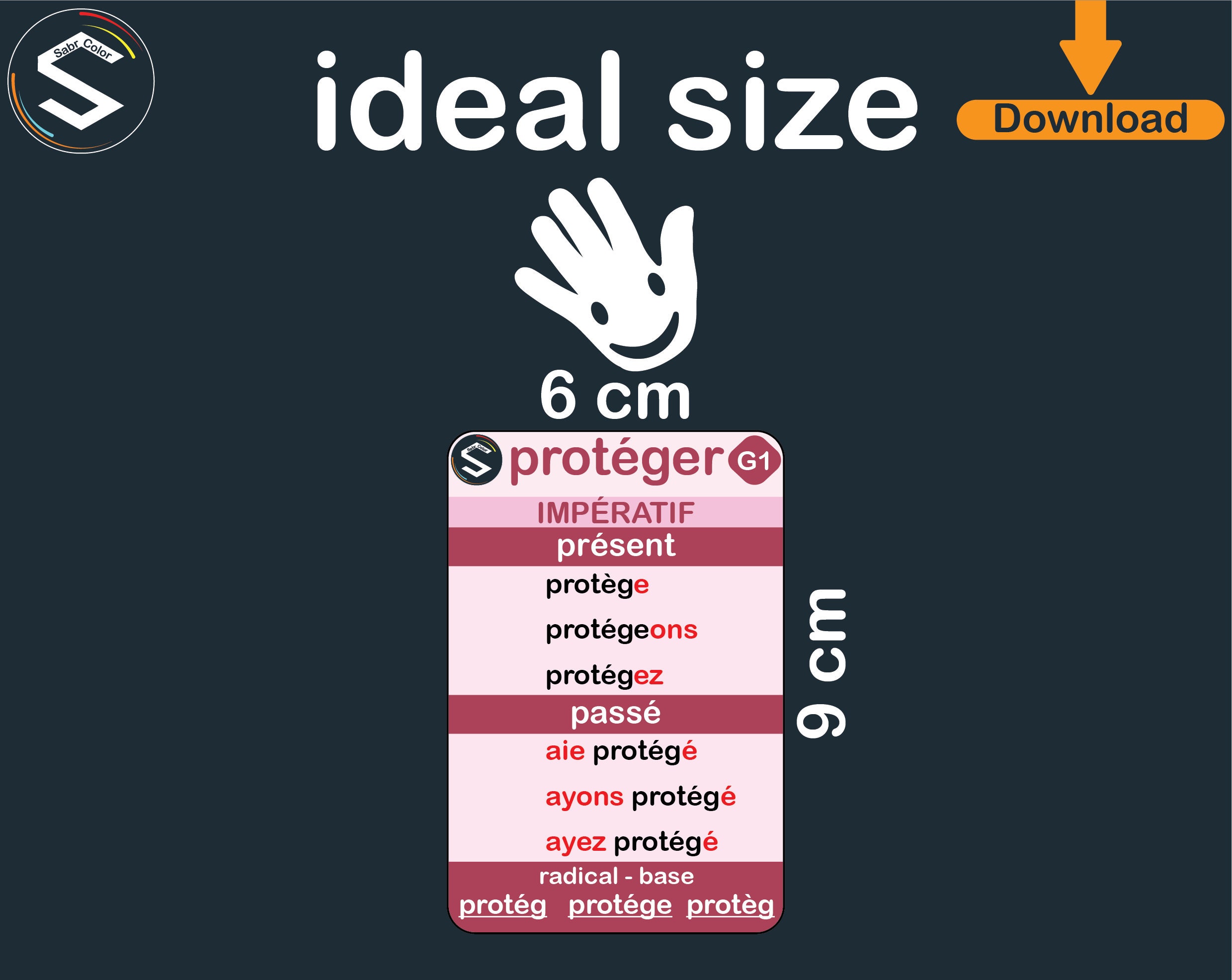 Le Verbe PROTÉGER à Tous Les Temps French Verbs Conjugation Flashcards ...