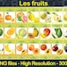 French Fruits Poster: Les Fruits, Classroom Homeschool Art (digital ...