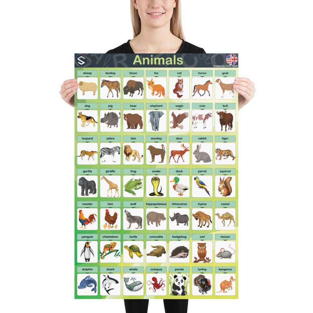 English Animals Vocabulary Poster ,for English Classes, Play Room ...