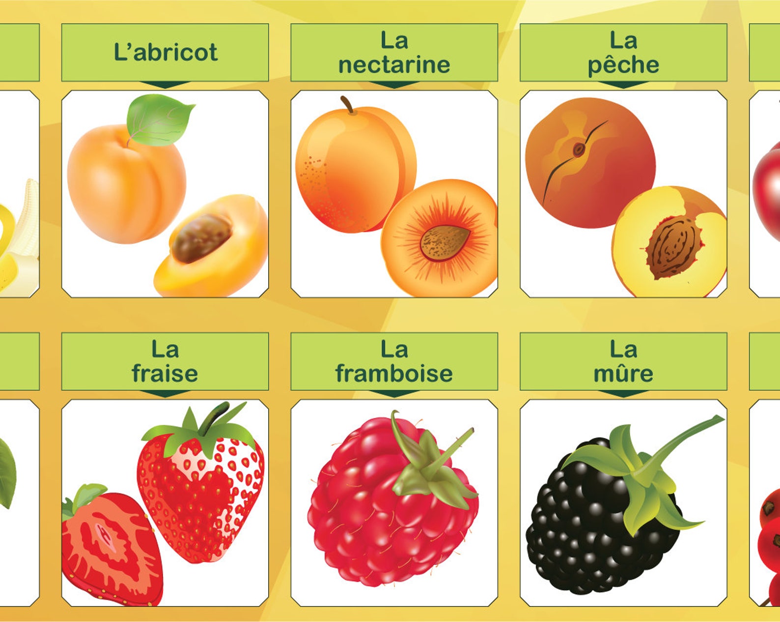 French Fruits Poster: Les Fruits, Classroom Homeschool Art (digital ...