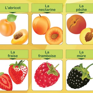 French Fruits Poster: Les Fruits, Classroom Homeschool Art (digital ...