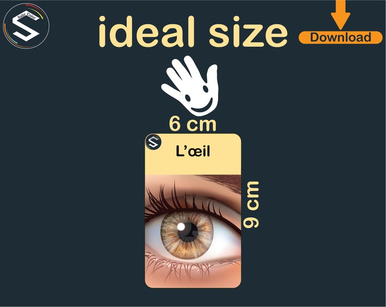 FRENCH Human Body and Anatomy Vocabulary Montessori Flashcards | Le ...