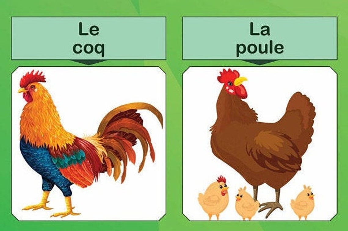 Les Animaux | French Animals Large Printable Posters for Nursery and ...