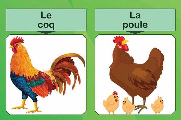 Les Animaux | French Animals Large Printable Posters for Nursery and ...