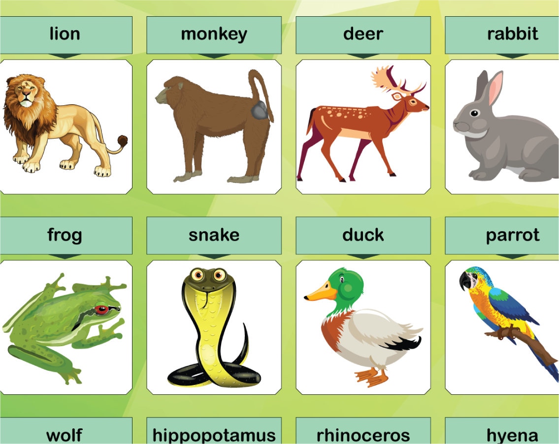 ENGLISH Animals Vocabulary Printable LARGE Wall Poster for Preschools ...