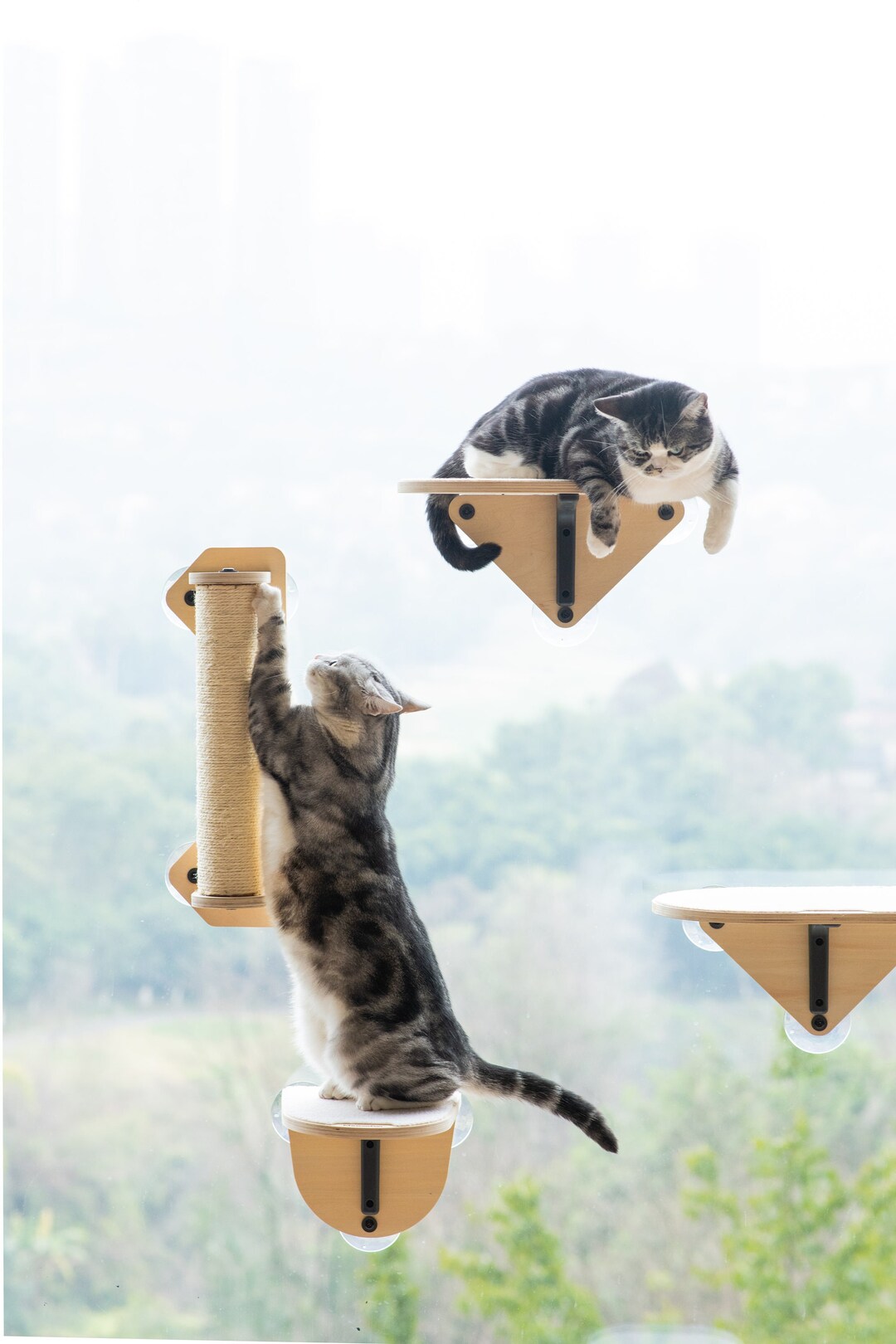 Air Cat Climbing Frame, Cat Window Perch, Cat Climbing Shelves, Cat ...