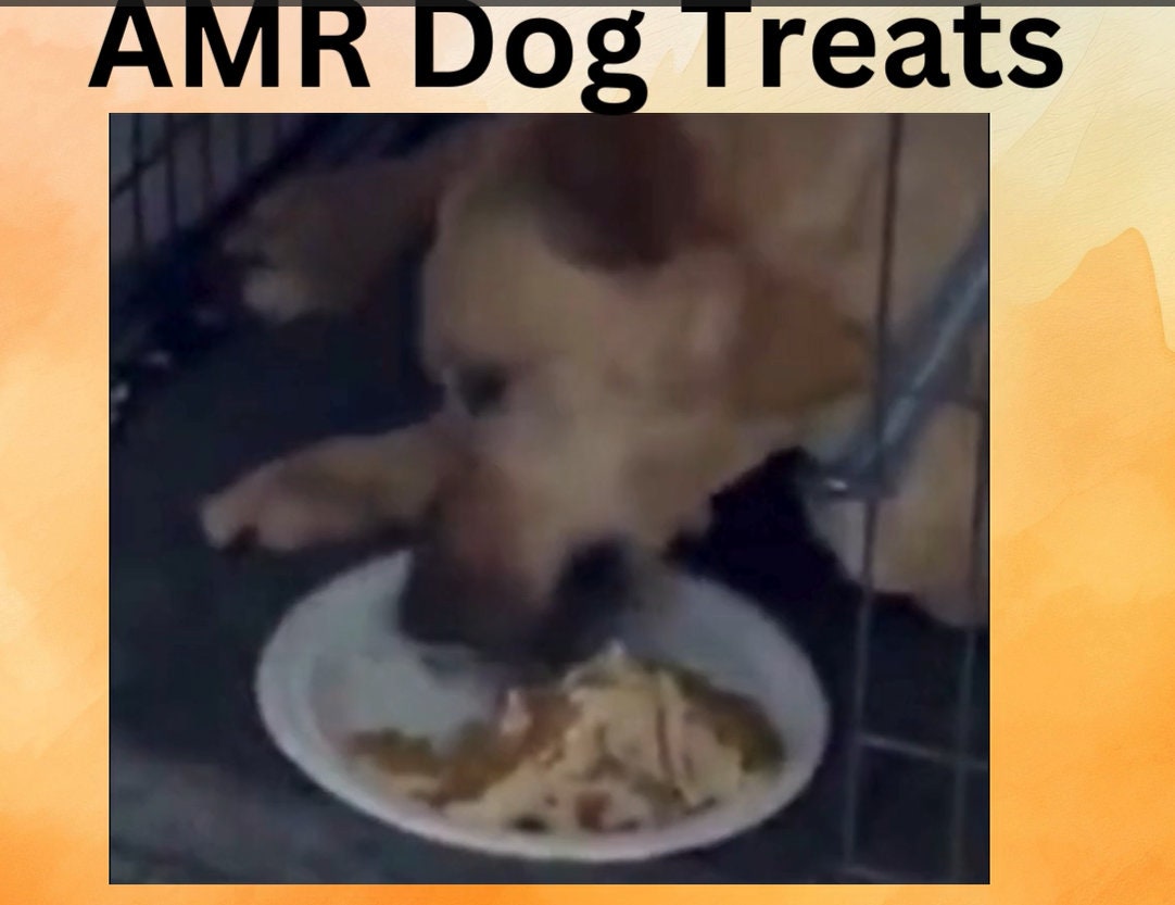 AMR Peanut Butter Dog Treat Cake With No Preservative, No Added Sugars ...