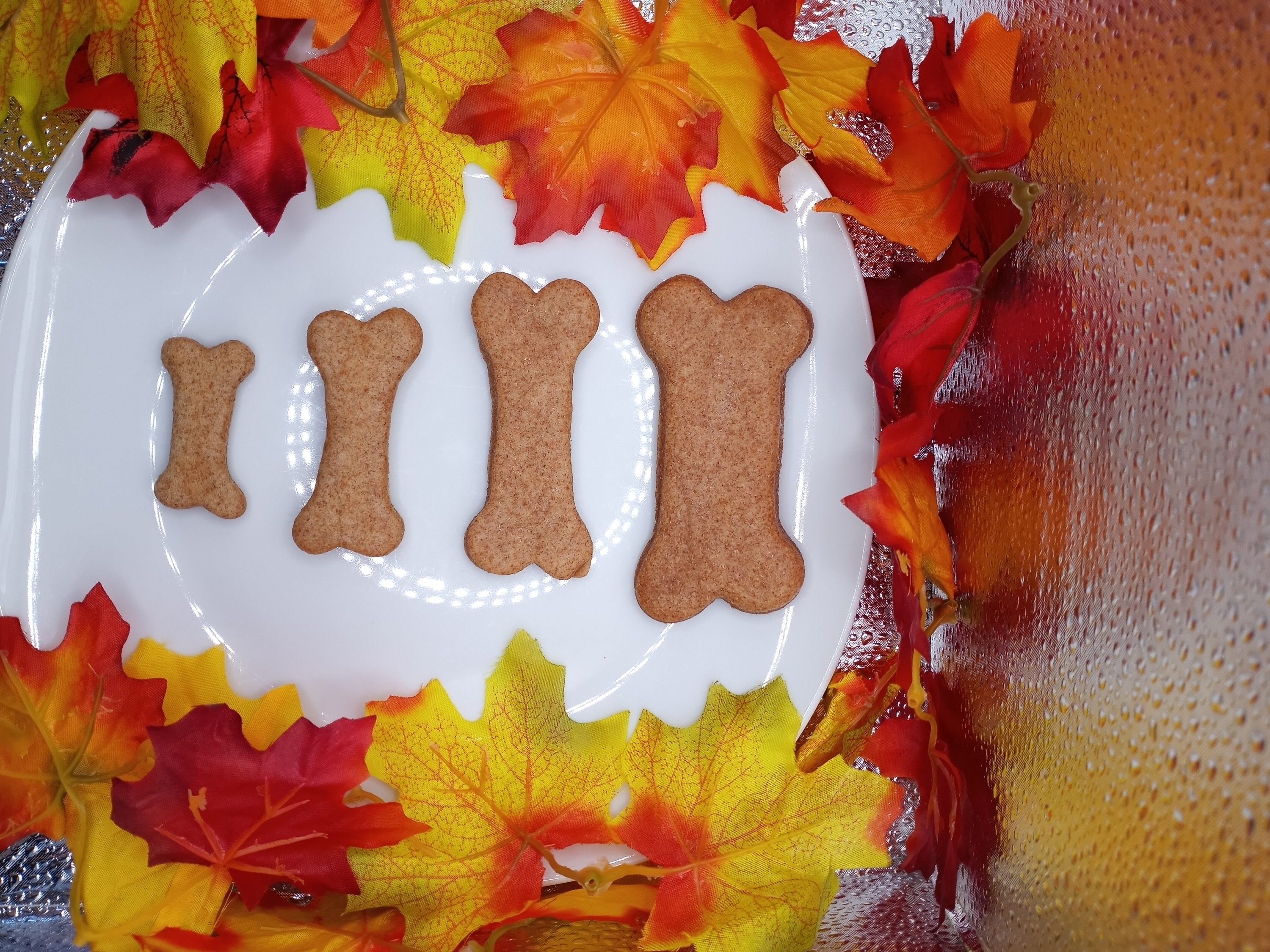 Sample Pack of AMR Peanut Butter and Pumpkin Dog Treats Extra-small ...