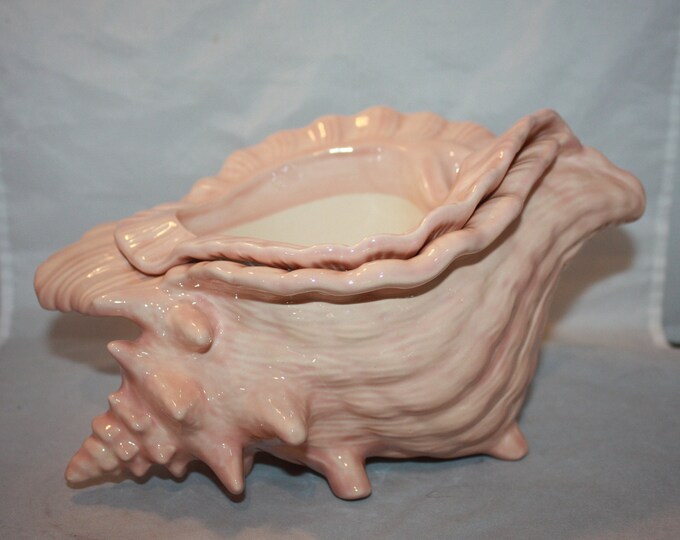 Ceramic Conch African Violet Self Watering Planter Pot - Etsy