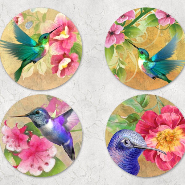 Hummingbird Coasters - Etsy