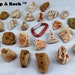 20 Rock Climbing Holds - Real Rock! - Etsy